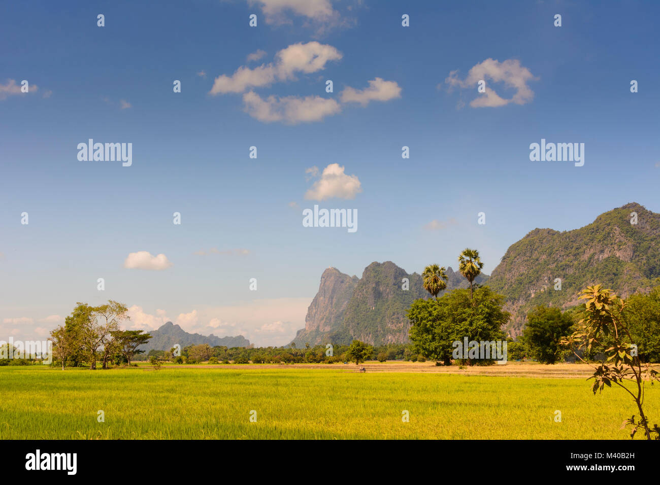 Hpa-An: paddy field, mountain mount Mt Zwegabin, , Kayin (Karen) State ...