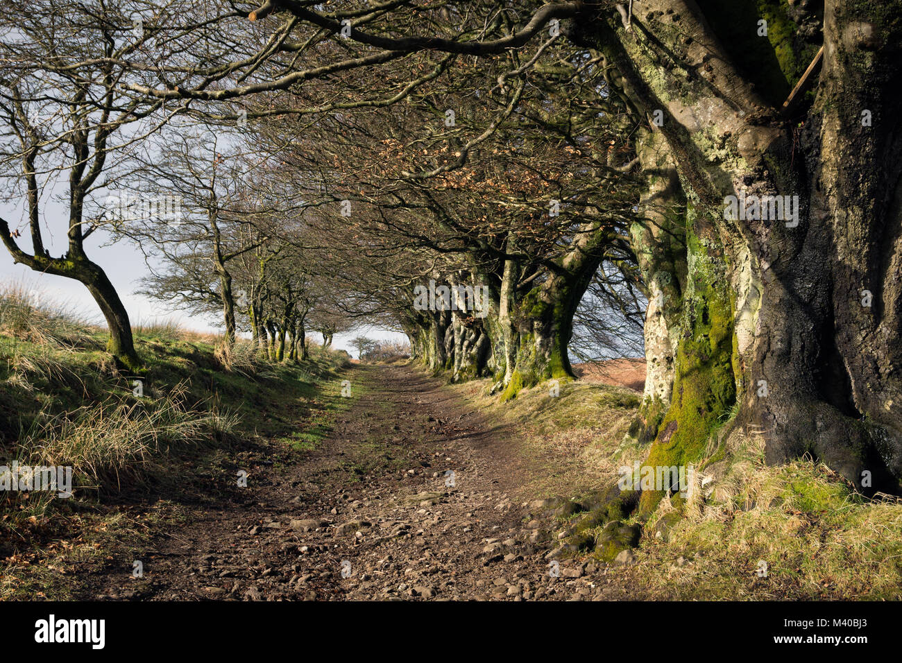 the three lochs way walking trail Stock Photo - Alamy