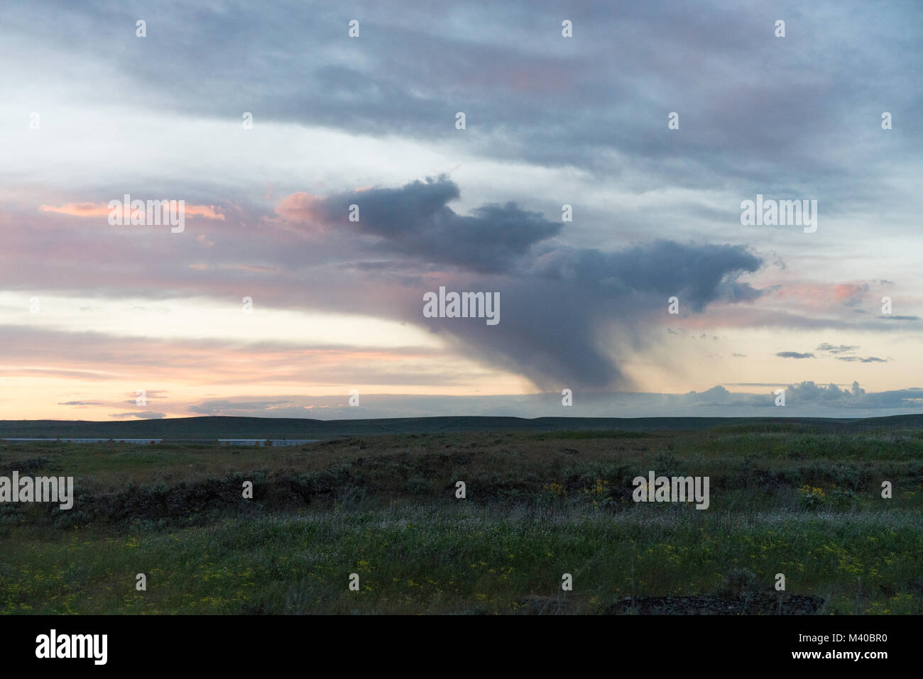 Open range hi-res stock photography and images - Alamy