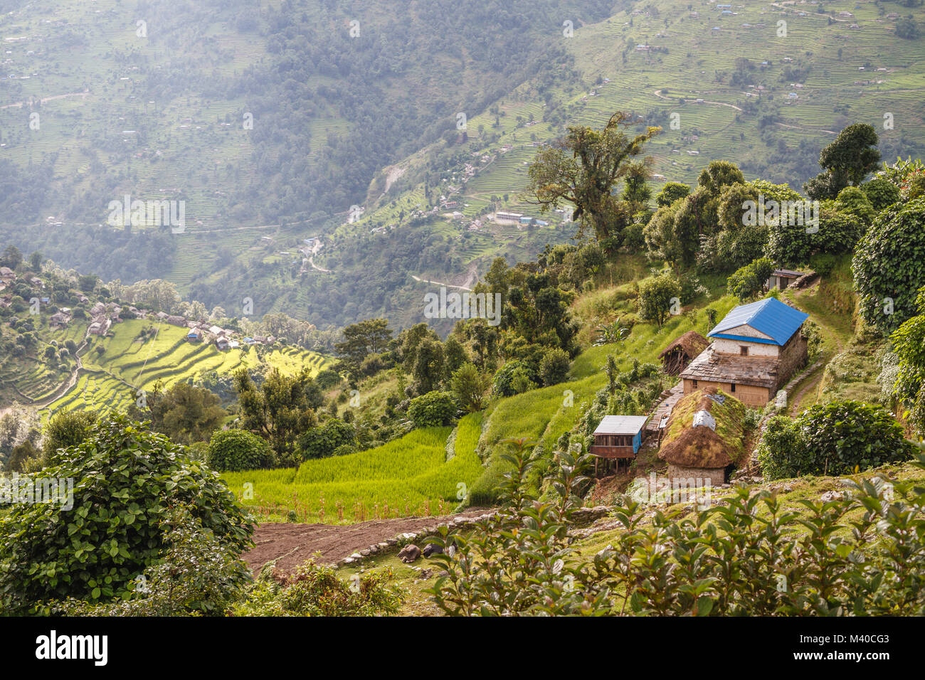Rice terraces nepal hi-res stock photography and images - Alamy
