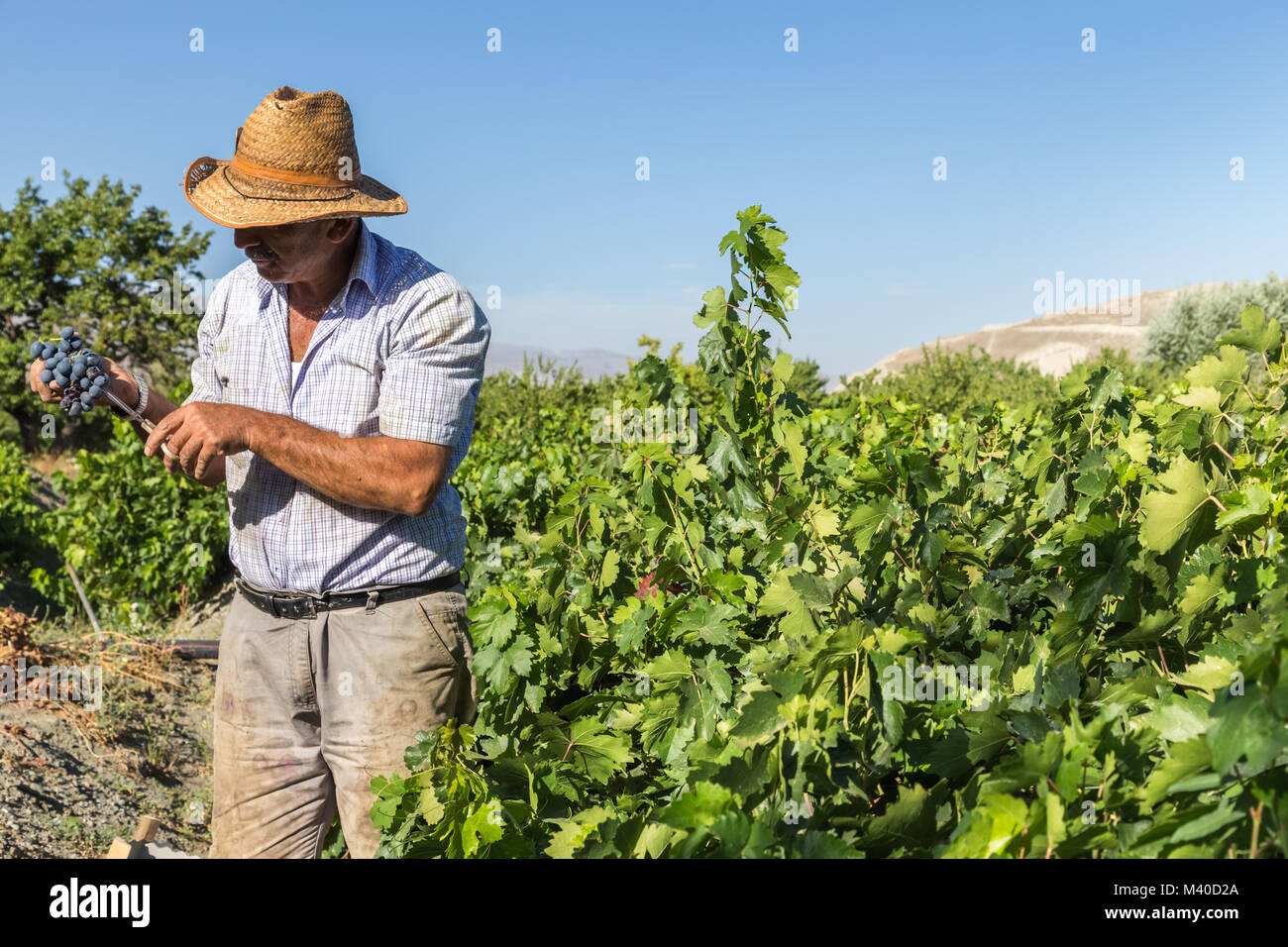 Uzumlu erzincan hi-res stock photography and images - Alamy