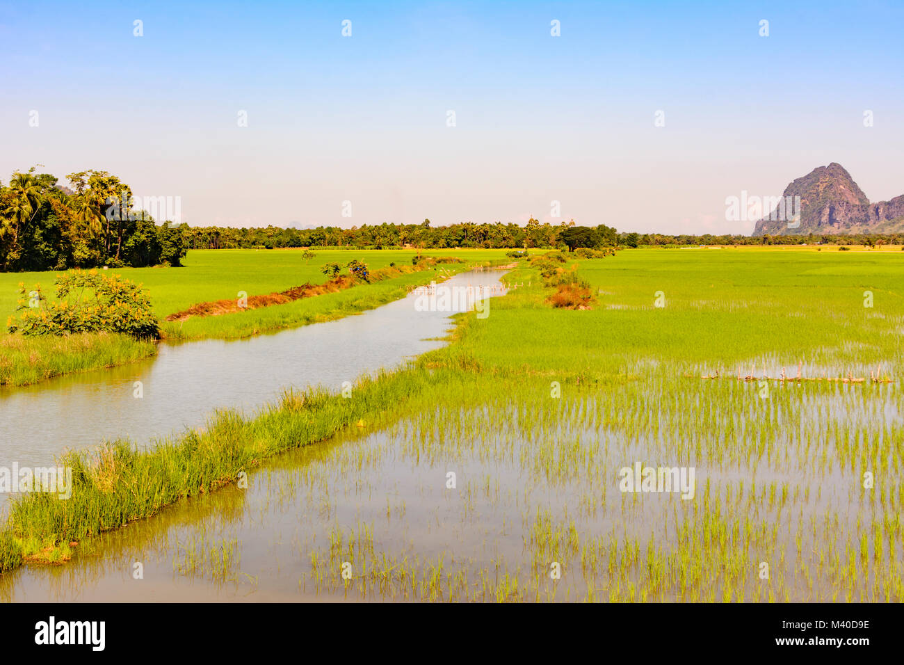 Hpa-An: rice padddy field, mountain mount Mt Zwegabin, , Kayin (Karen ...