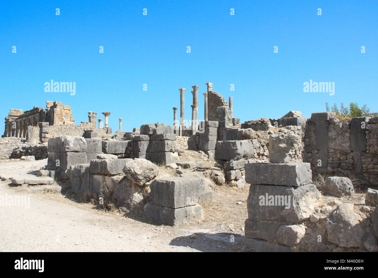 View of the Basilica in Volubilis, Roman city near to Meknes, the ...