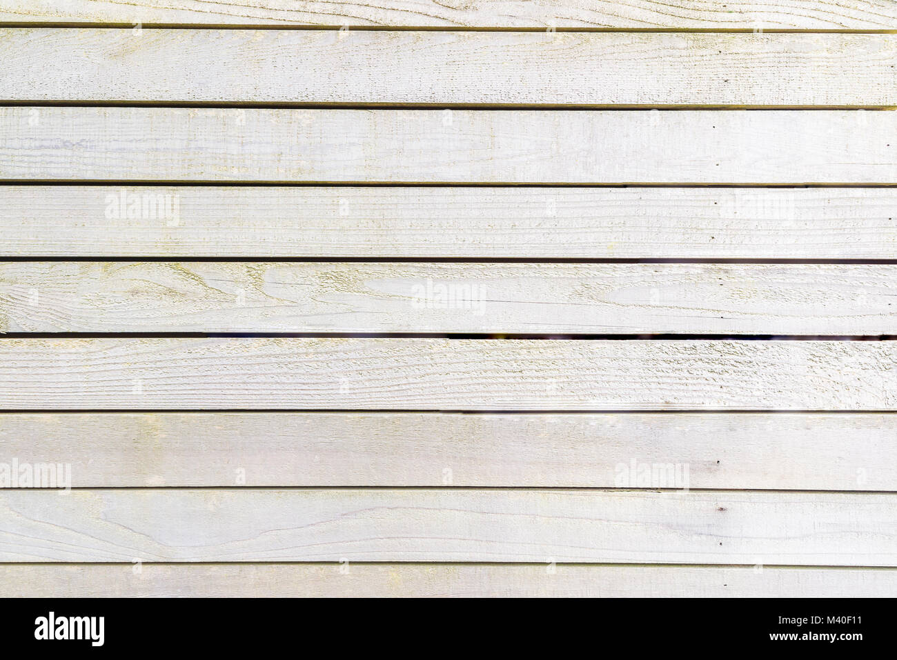 White Wood Panel Texture