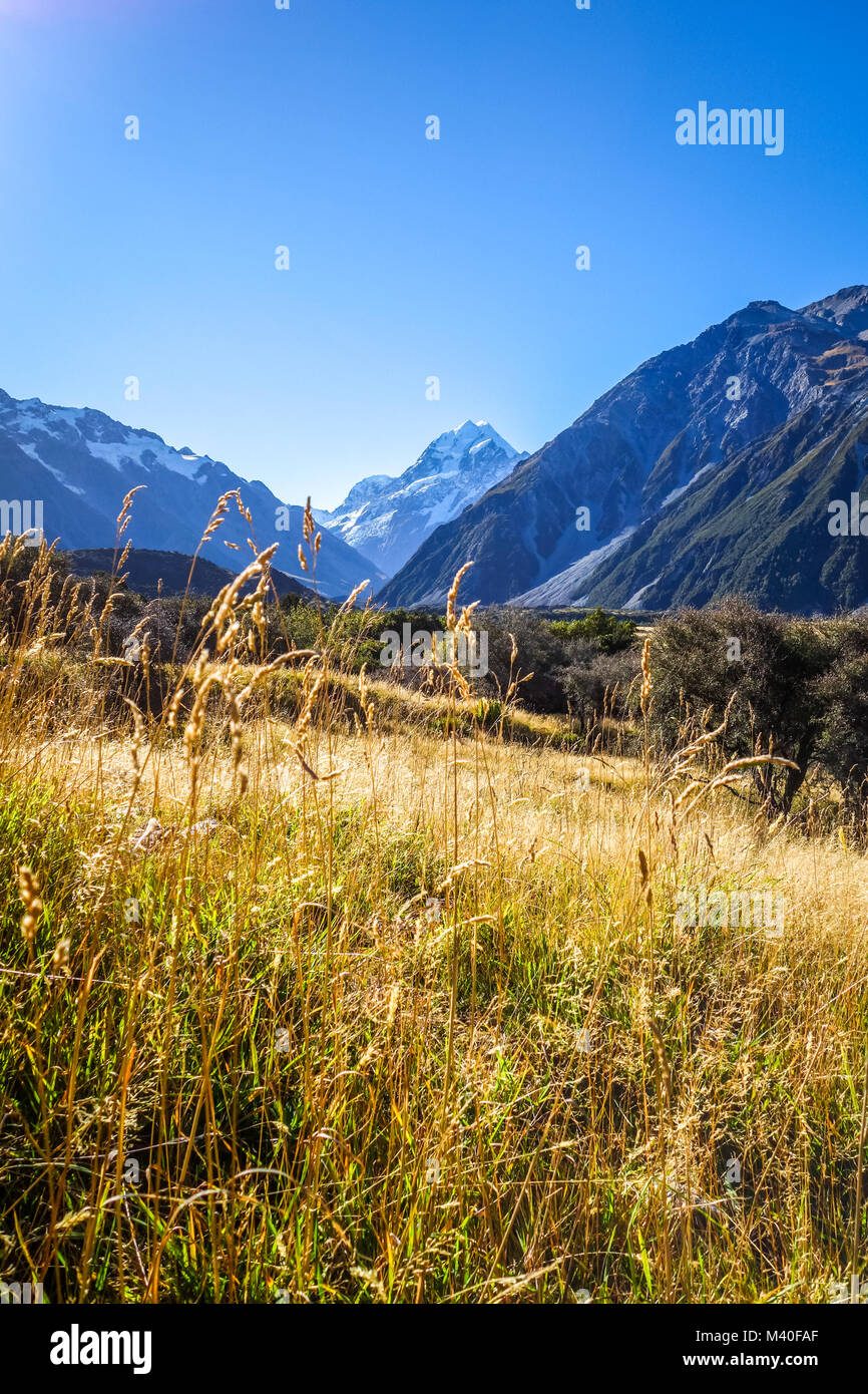 Aoraki Mount Cook mountain landscape, New Zealand Stock Photo - Alamy