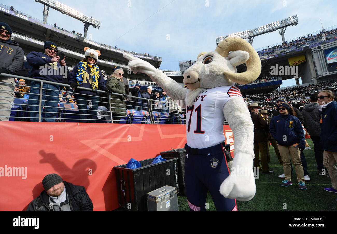 Naval academy mascot High Resolution Stock Photography and Images - Alamy