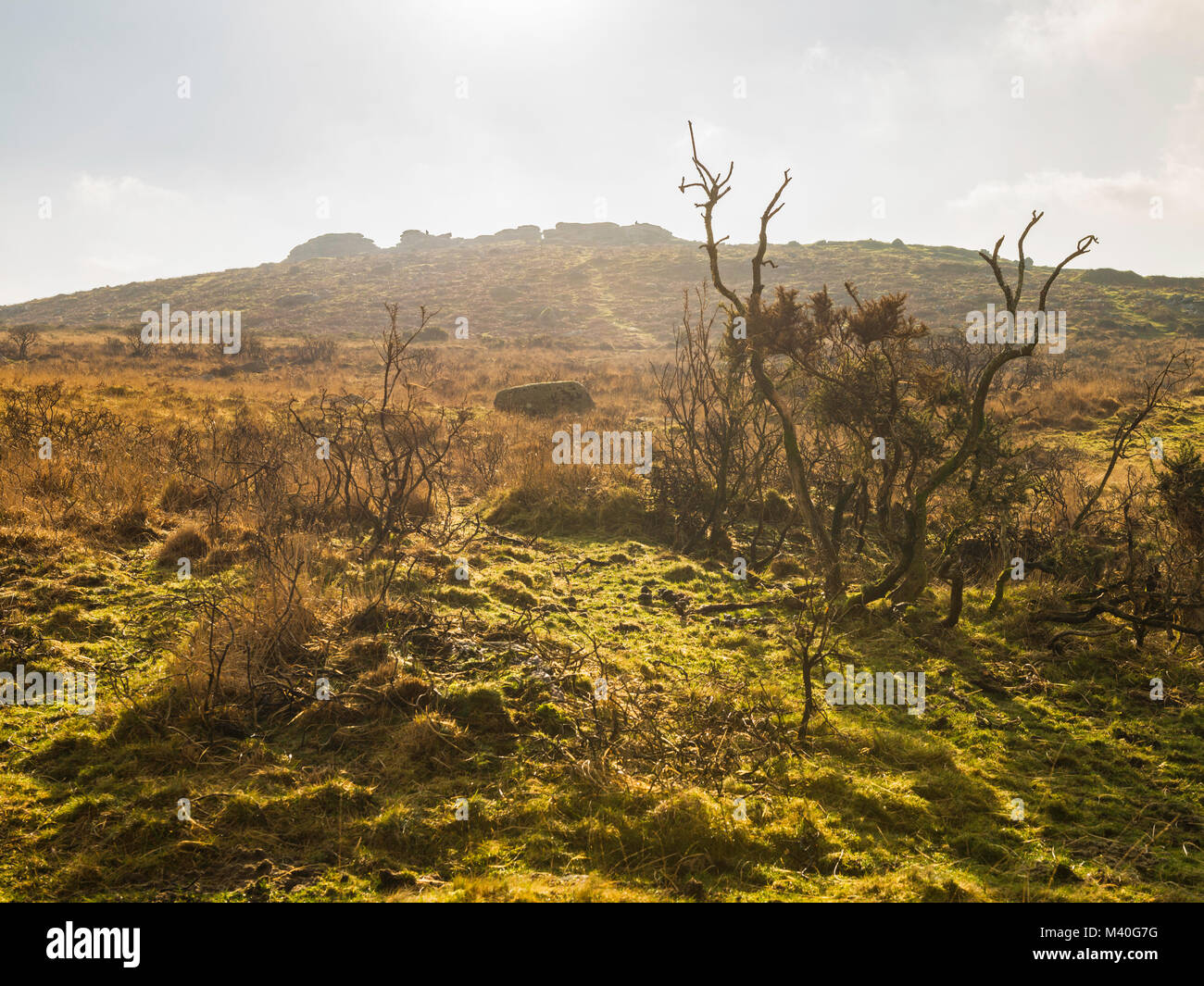 View looking up towards Pew Tor in Dartmoor National Park, Devon ...