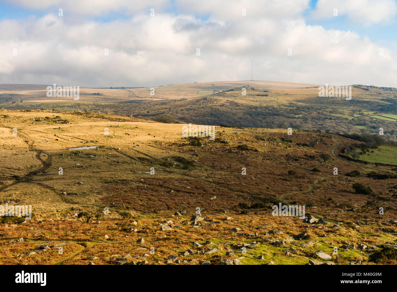 Dartmoor national park aerial hi-res stock photography and images - Alamy