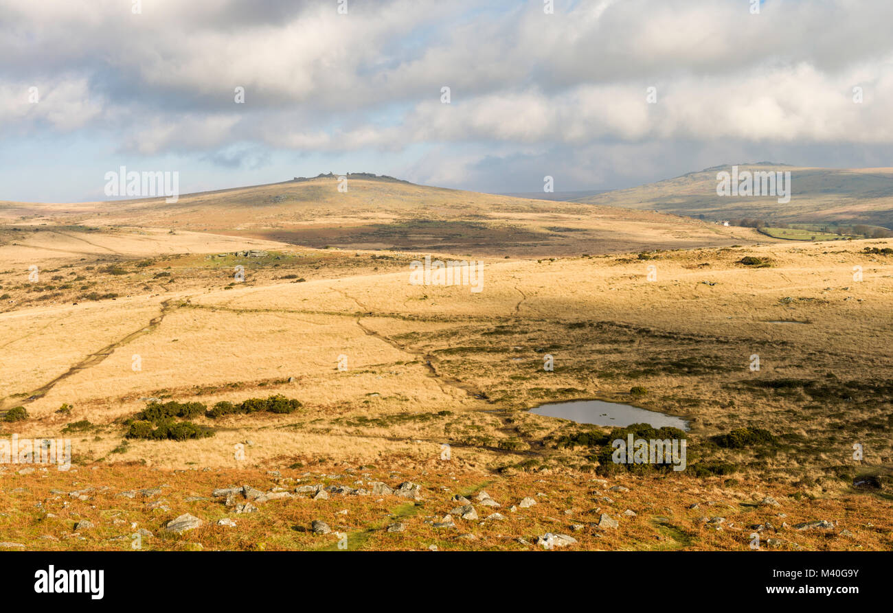 Moorland landscape view from the top of Pew Tor, Dartmoor National Park ...