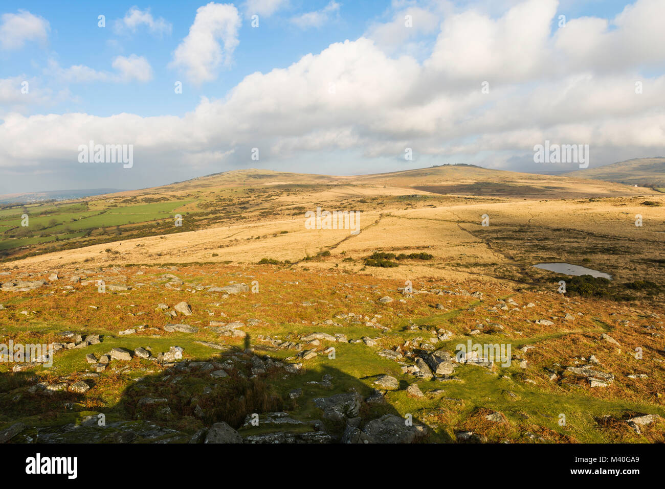Moorland landscape view from the top of Pew Tor, Dartmoor National Park ...