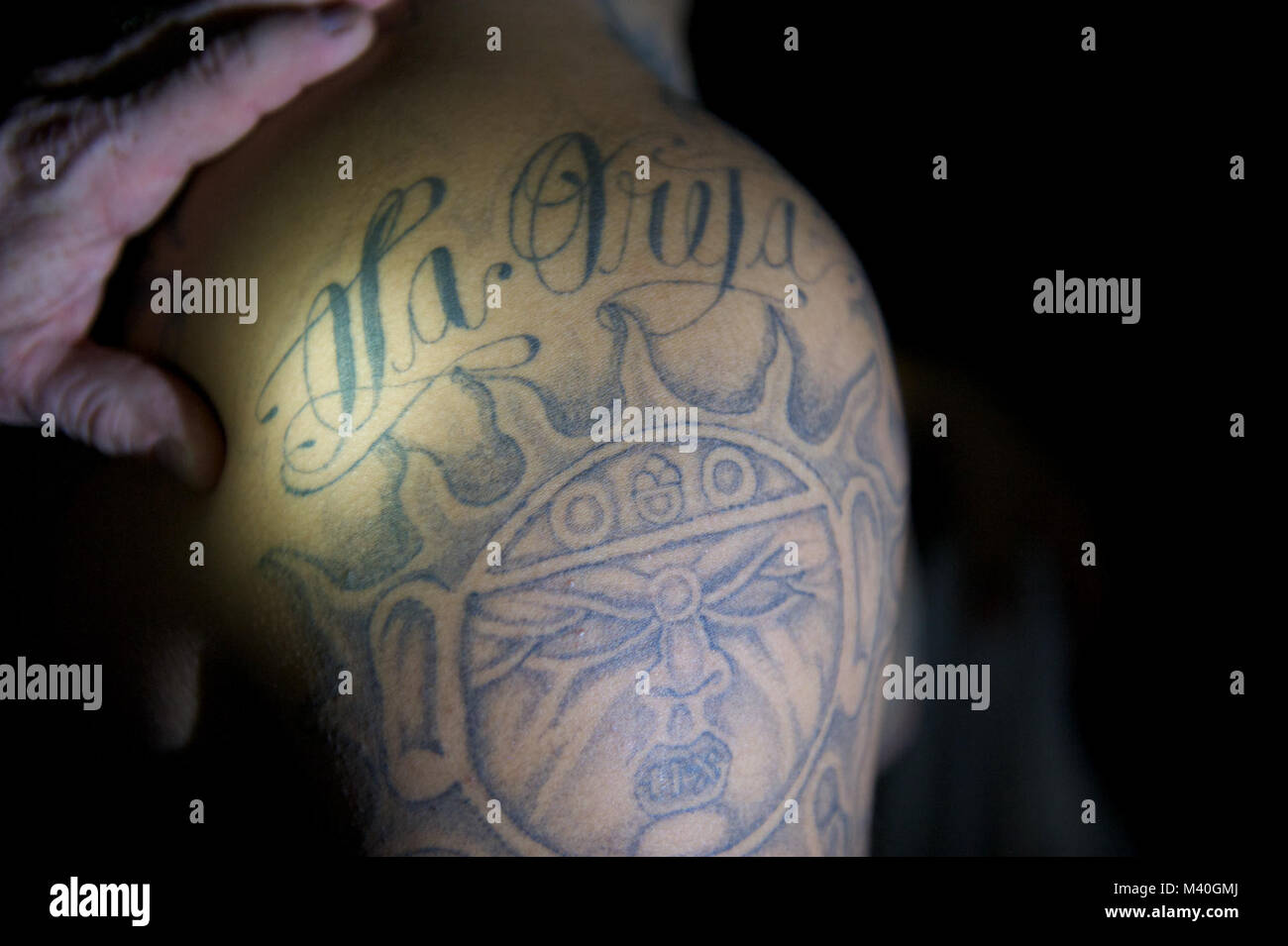 SAN ANTONIO - The U.S. Marshals Service and the San Antonio Police ...