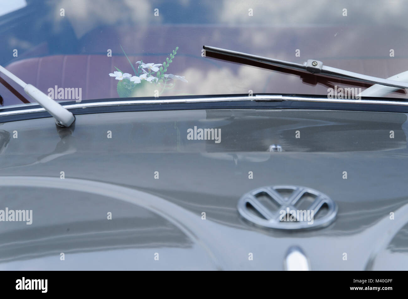 Beetle windshield hi-res stock photography and images - Alamy