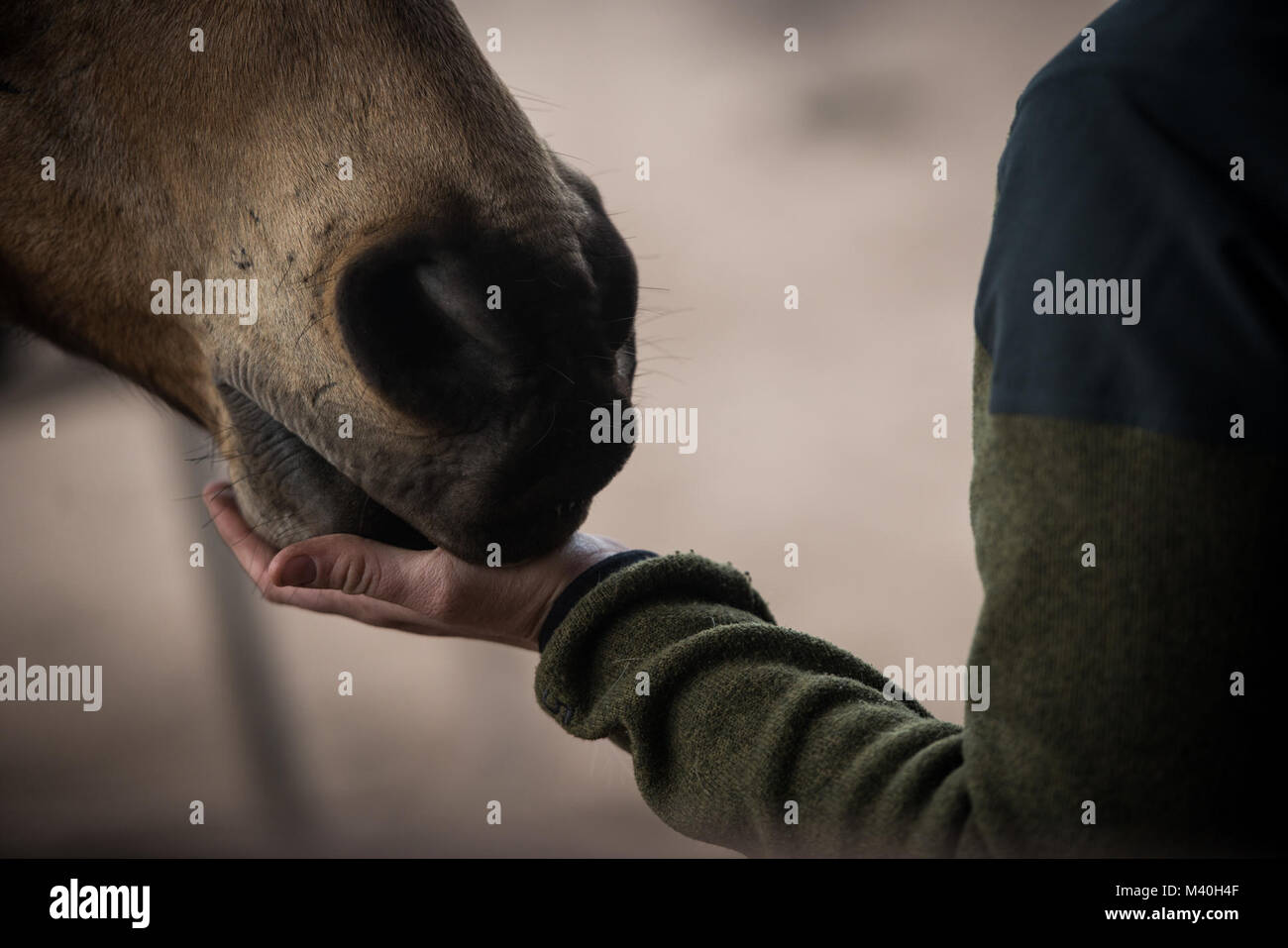 The members of the Vandenberg Air Force Base's conservation law ...