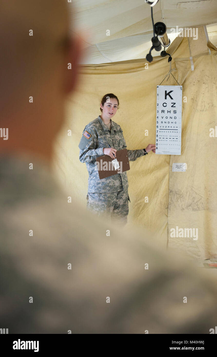 Members of the 212th Combat Support Hospital constructed a fully ...