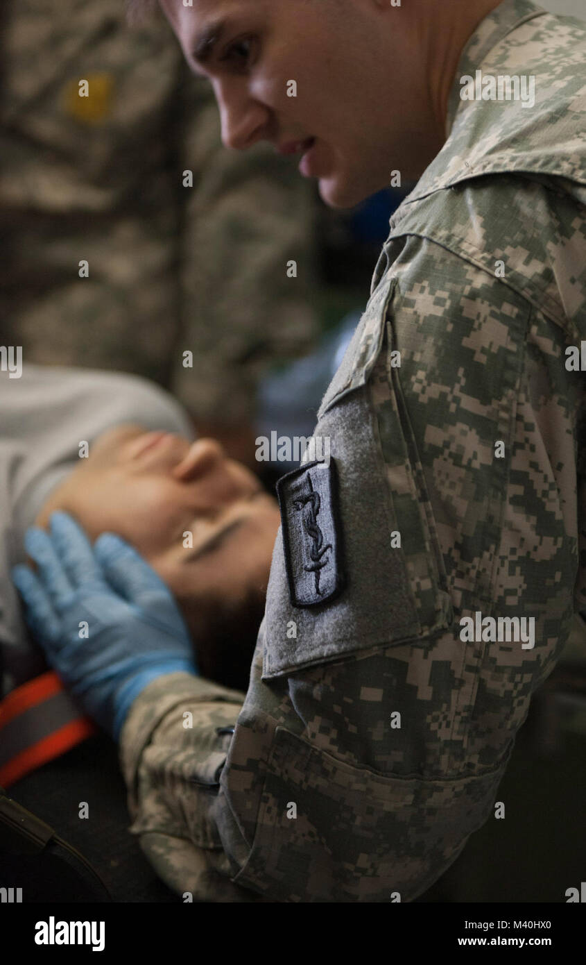 Members of the 212th Combat Support Hospital constructed a fully ...