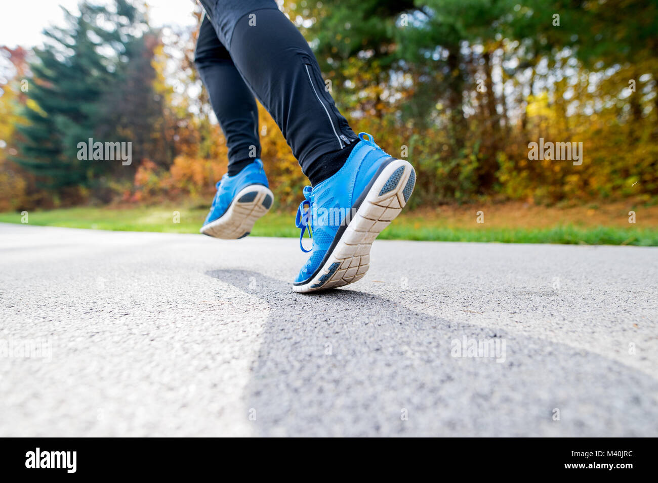 Young athlete running in park in colorful autumn nature Stock Photo - Alamy