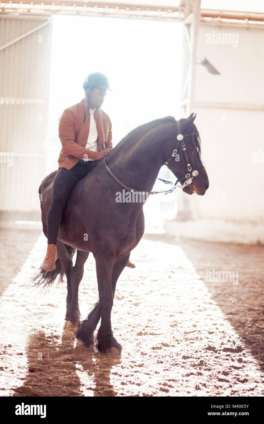 man riding brown horse on countryside Stock Photo - Alamy