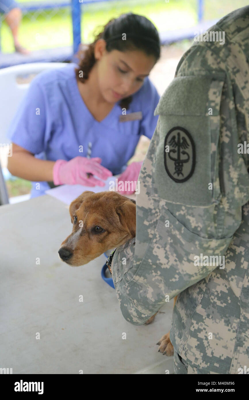 Spc hartung hi-res stock photography and images - Alamy