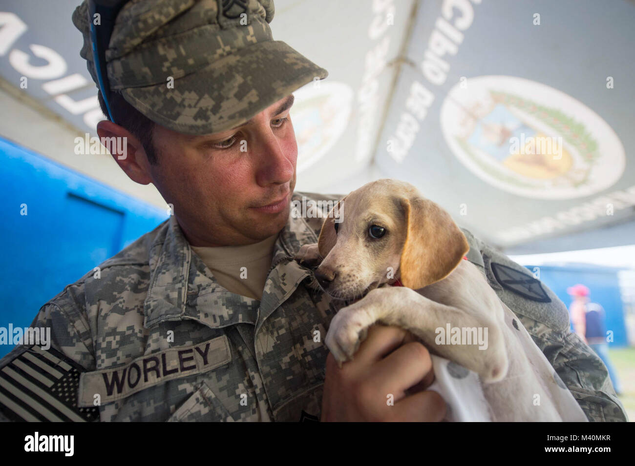Worley engineering hi-res stock photography and images - Alamy