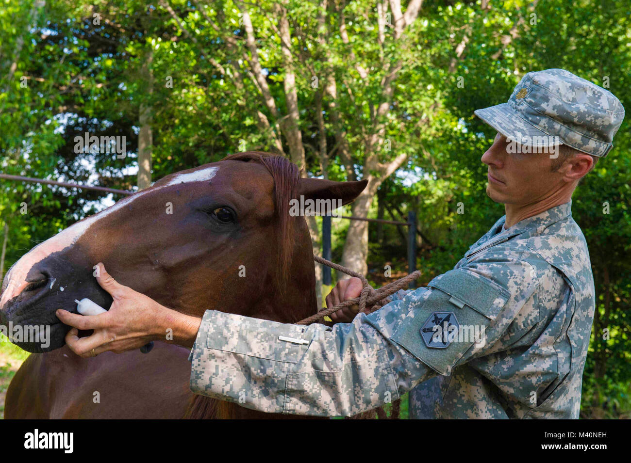 Jeremiah martin hi-res stock photography and images - Alamy