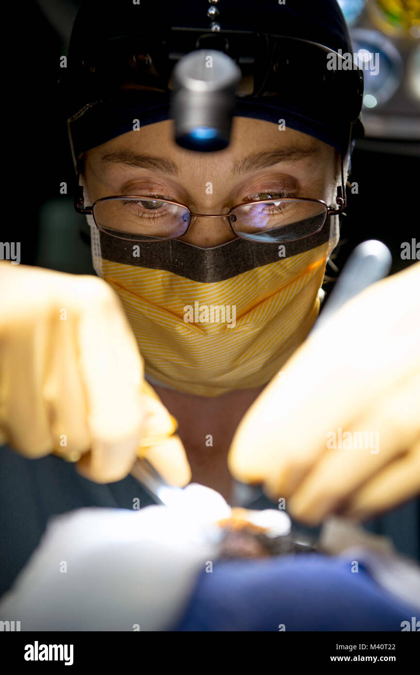 James lovell hospital hi-res stock photography and images - Alamy