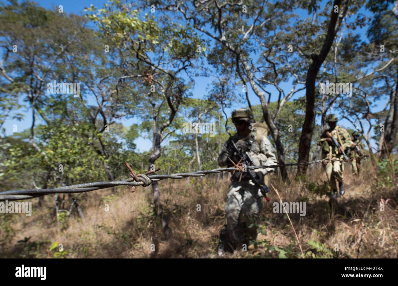 Soldiers with United States Army and Zambian Defense Force make a ...