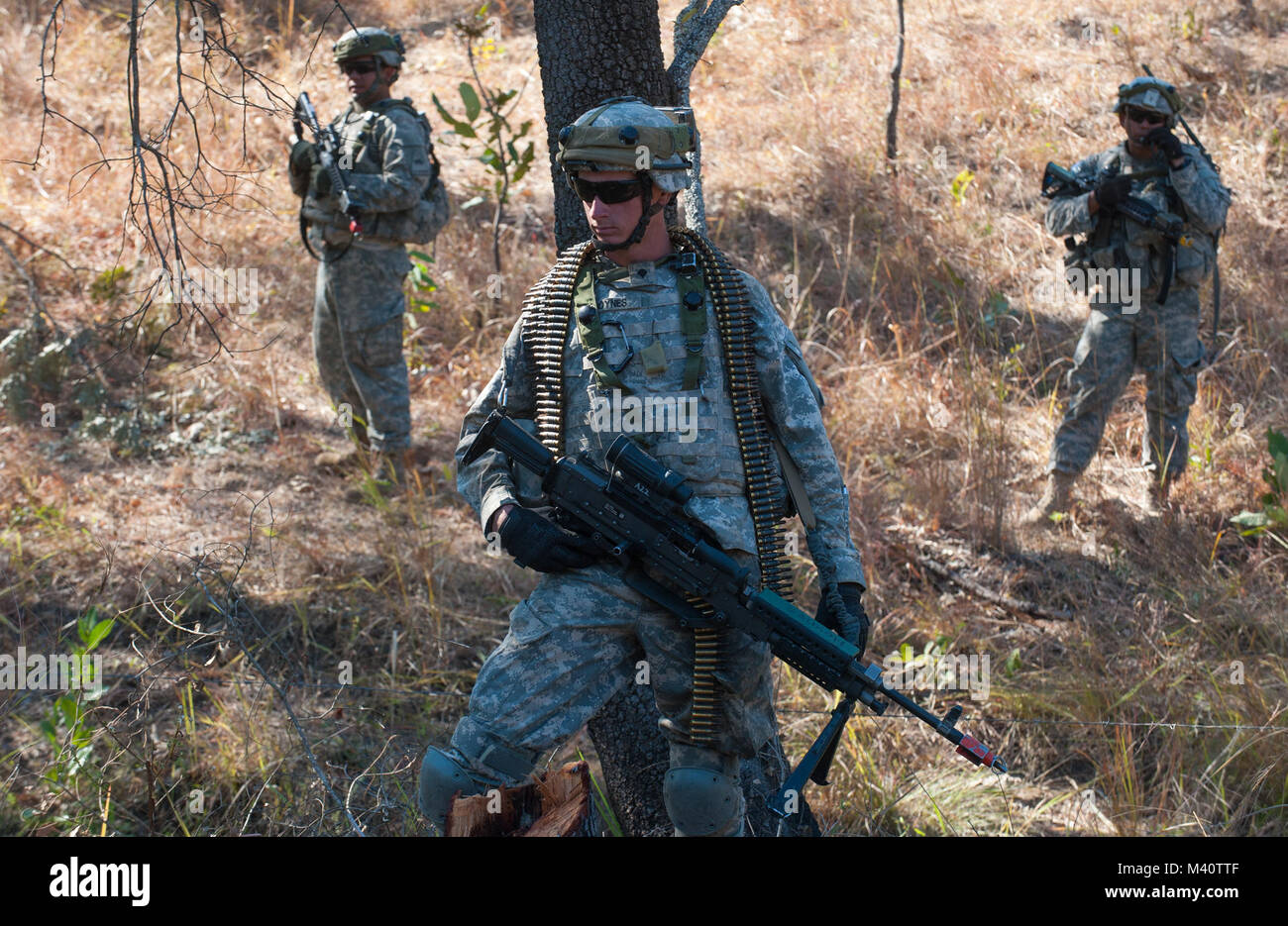 13Th Cavalry Regiment , Coat of arms of 13th Cavalry Regiment, US Army ...