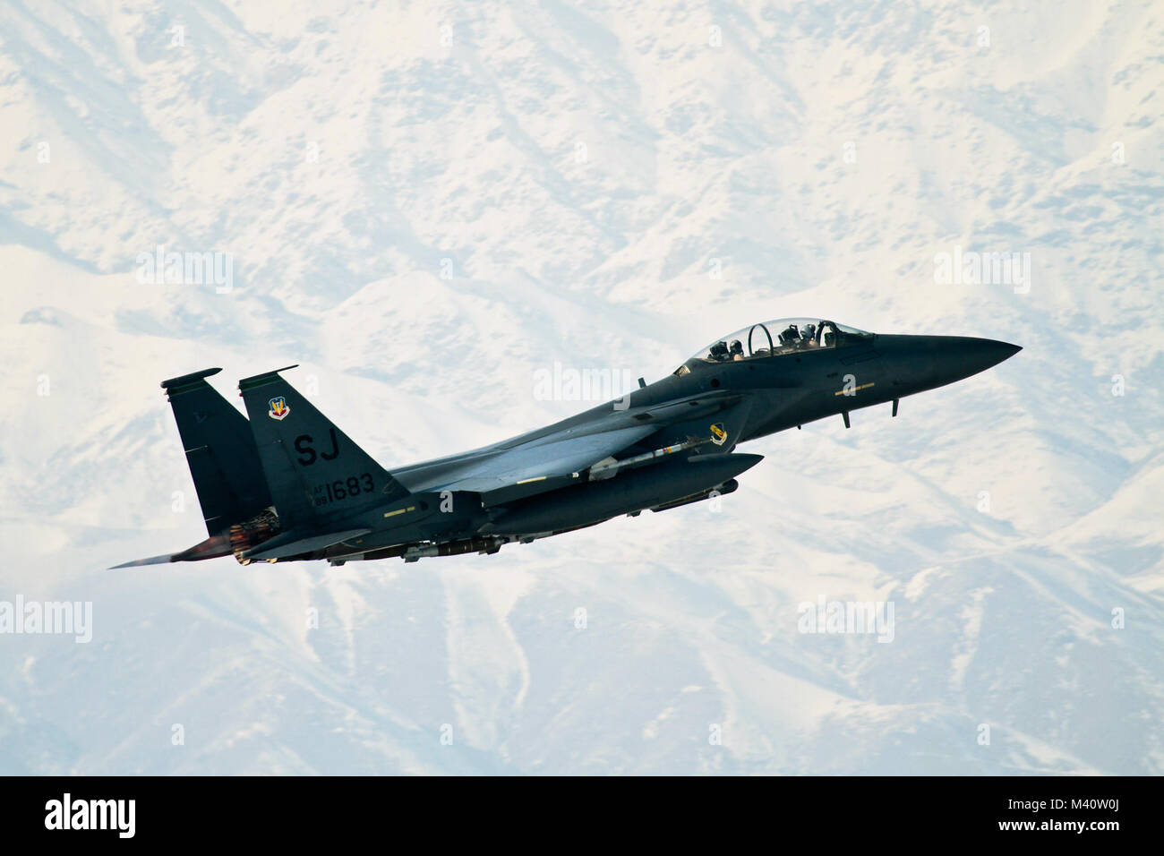 A U.S. Air Force F-15E Strike Eagle from the 335th Expeditionary ...