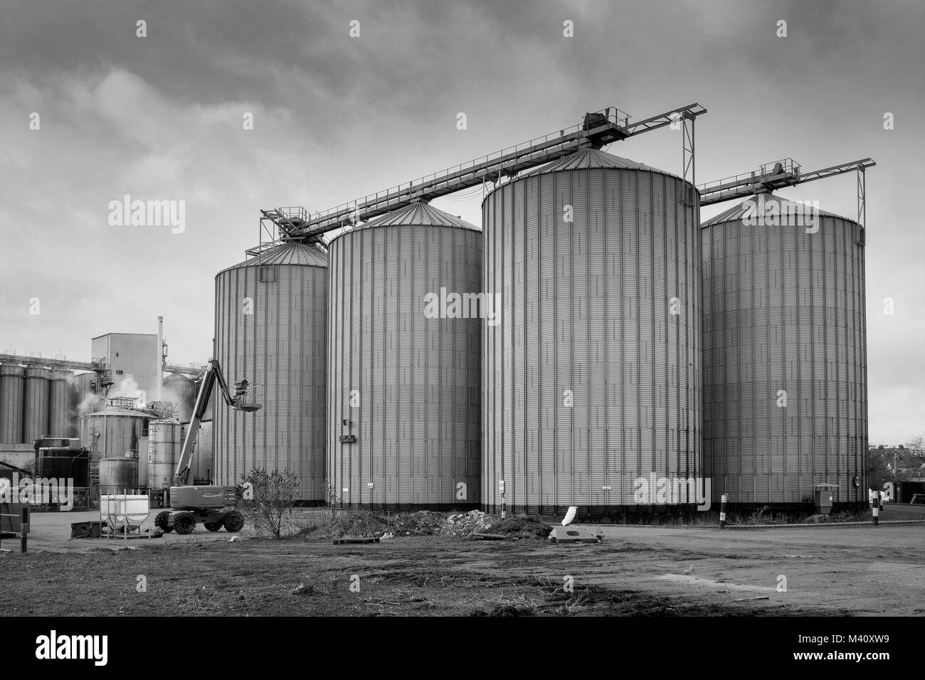 Grain Silos at Bairds Malt Stock Photo - Alamy