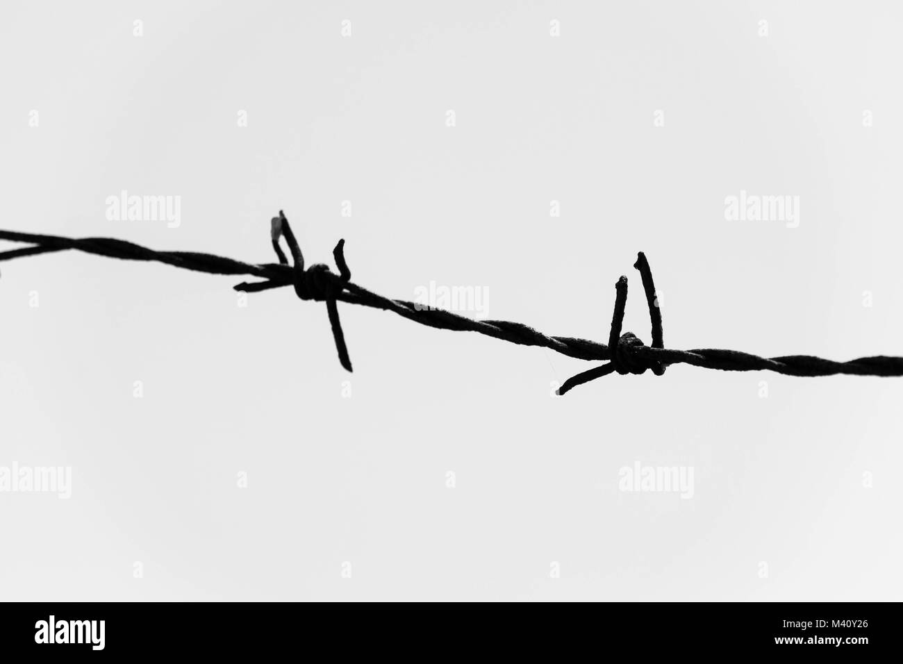 Barbed wire 1 B&W Stock Photo - Alamy