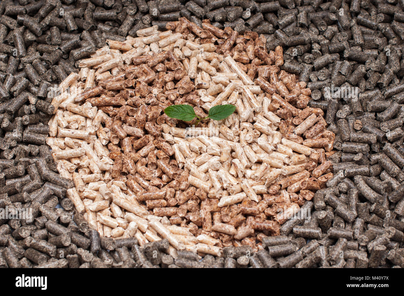 Three kind wooden biomass with young plant Stock Photo - Alamy