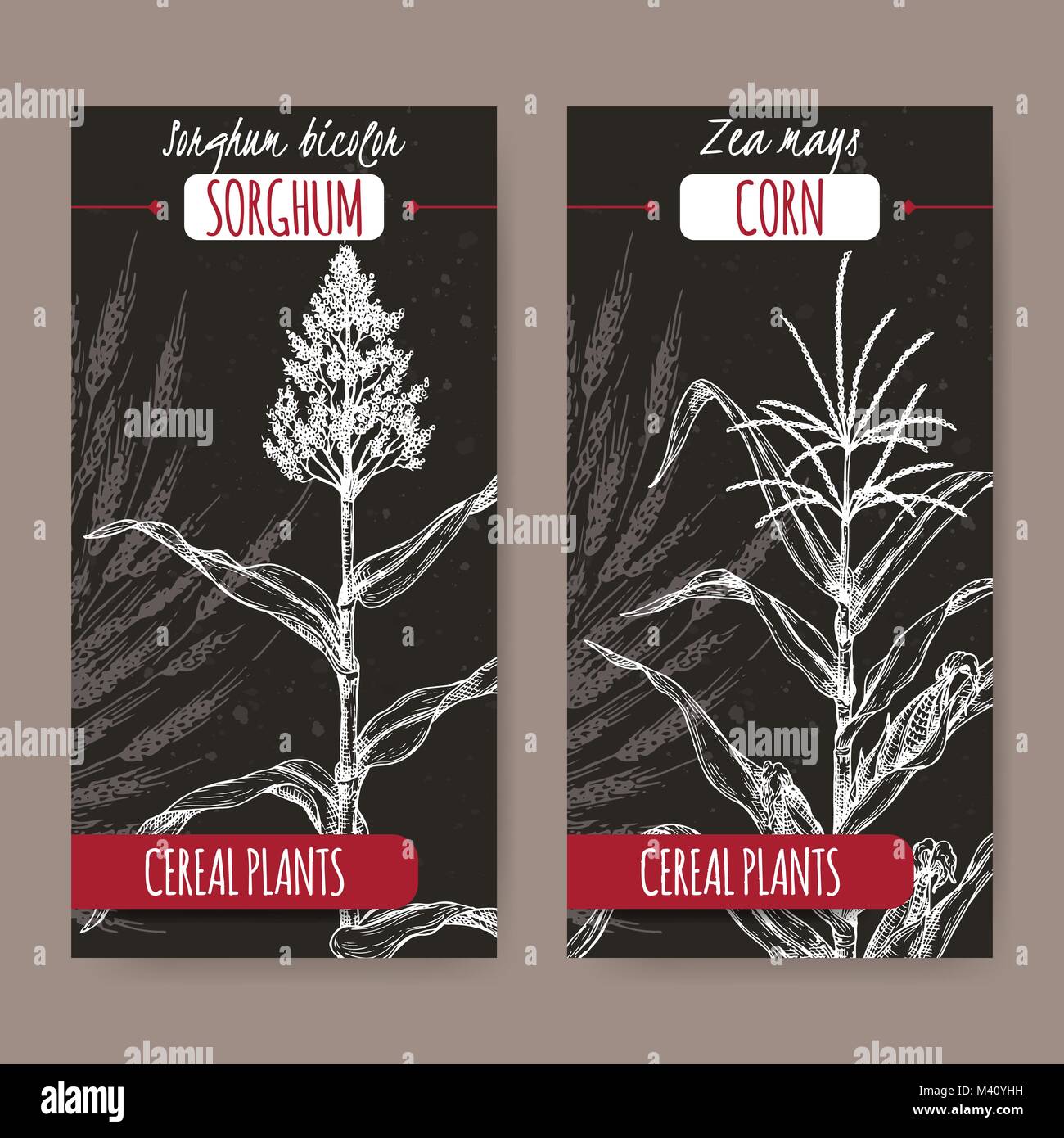 Seed labels Stock Vector Images - Alamy