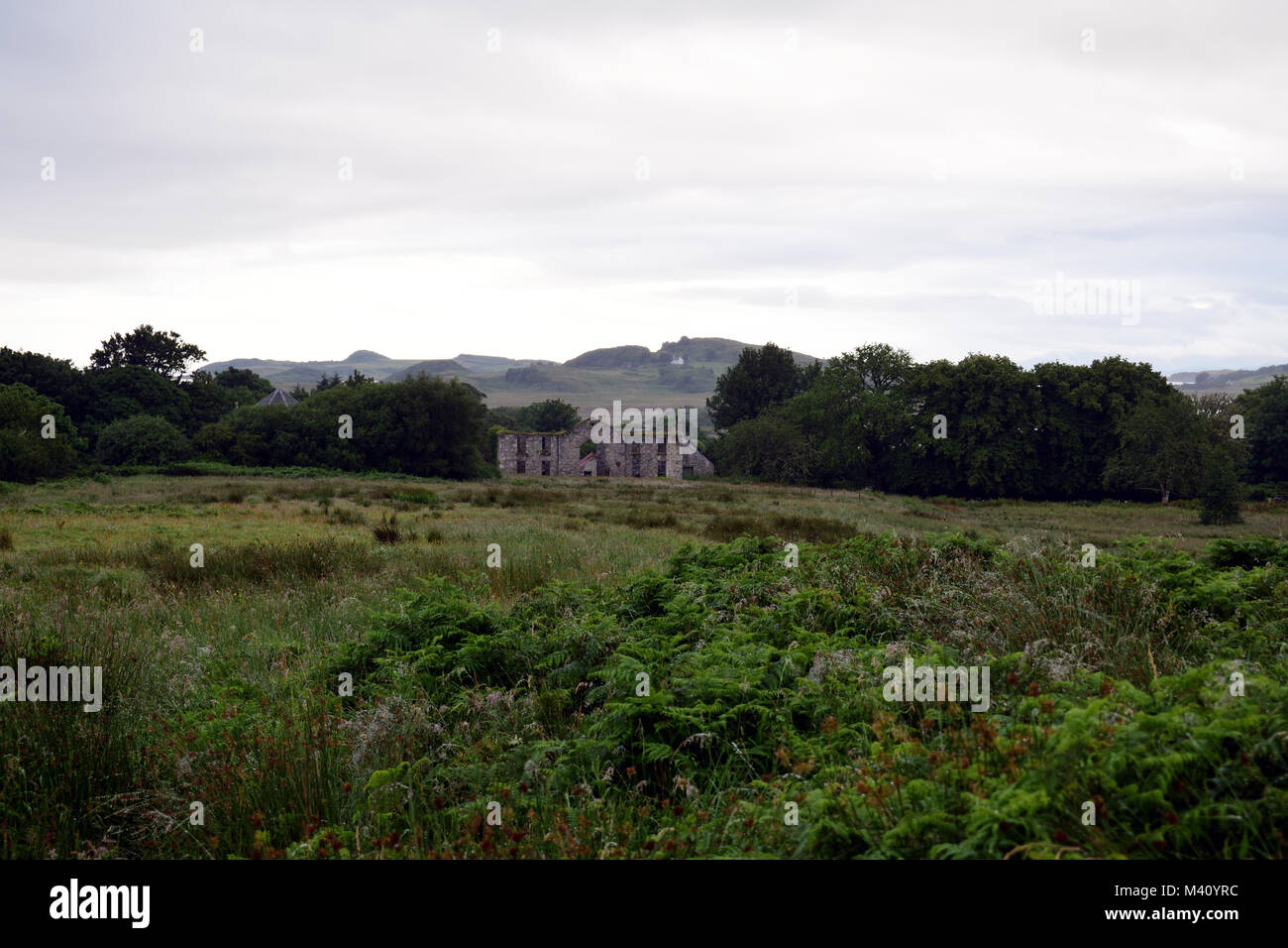 Ruins in Taynish National Nature Reserve, Argyll and Bute, Scotland ...