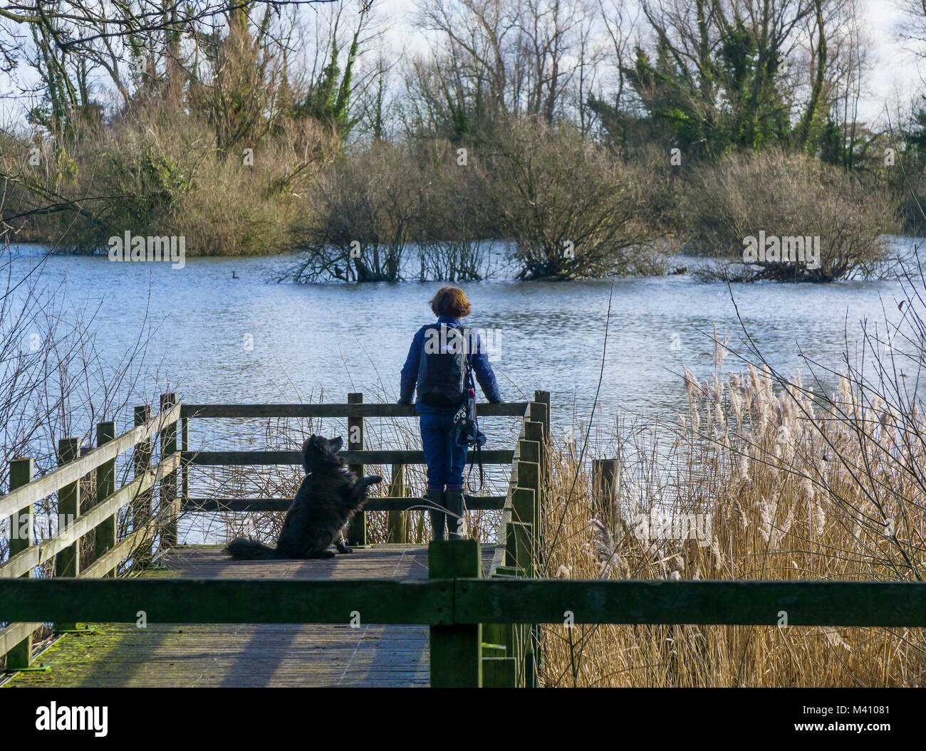 Viewpoint looking over lake hi-res stock photography and images - Alamy