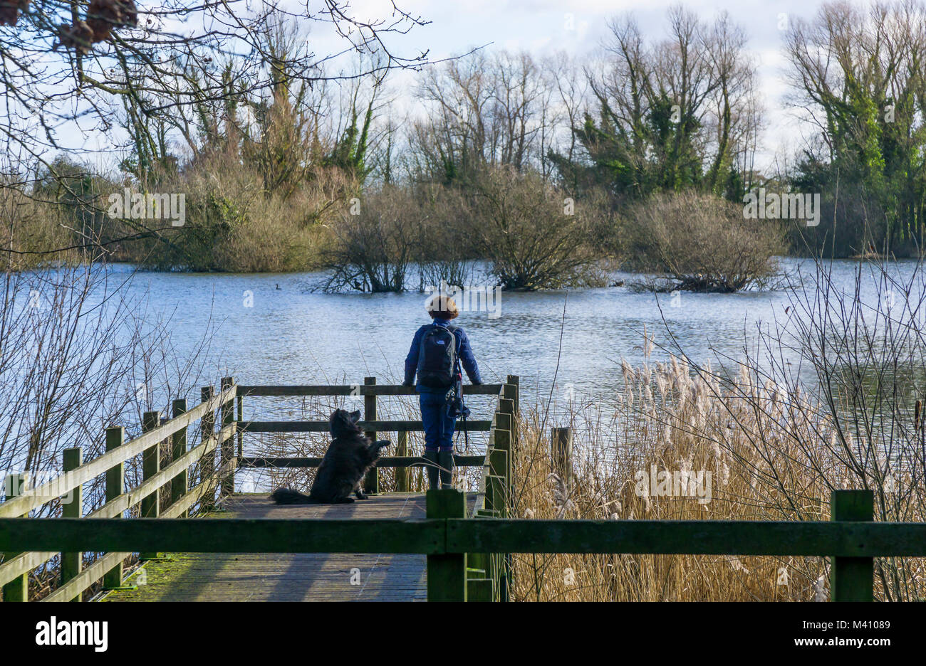 Viewpoint looking over lake hi-res stock photography and images - Alamy