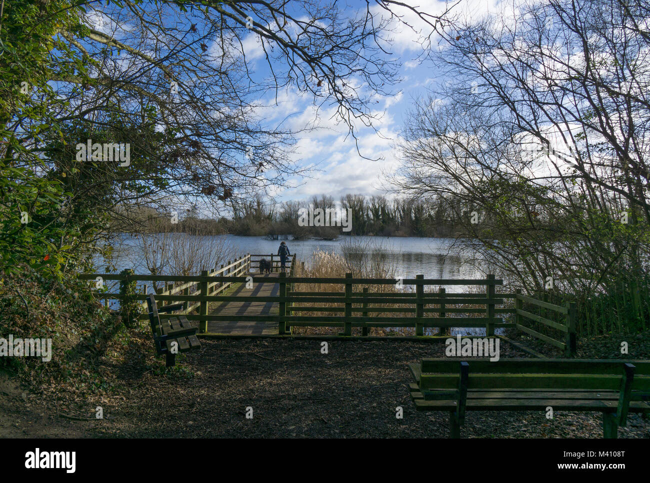 Lady looking out over lake from viewpoint Stock Photo - Alamy