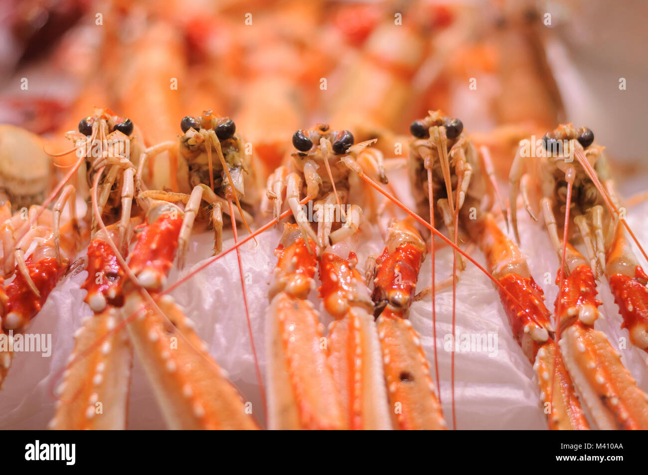 Cigala seafood lobster shrimp hi-res stock photography and images - Alamy