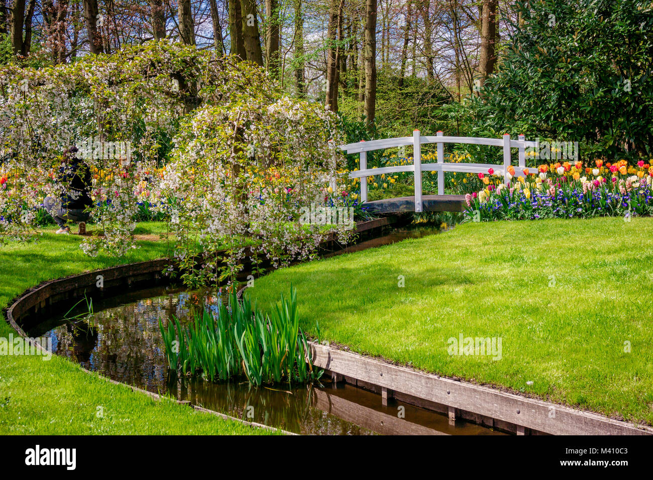 Beautiful park. Landscaped Formal Garden Stock Photo - Alamy