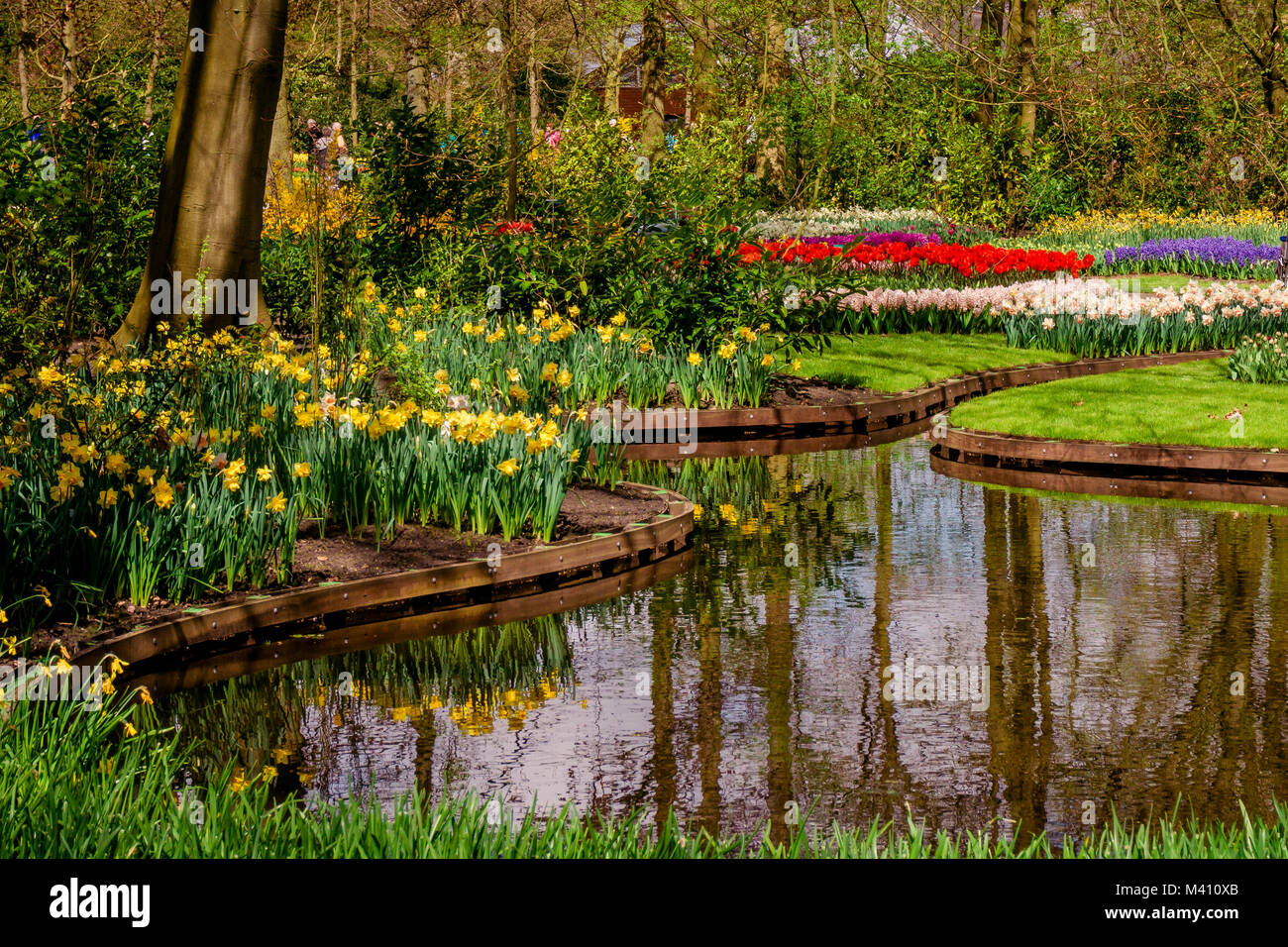 Beautiful garden. Park in The Spring. Spring landscape Stock Photo - Alamy