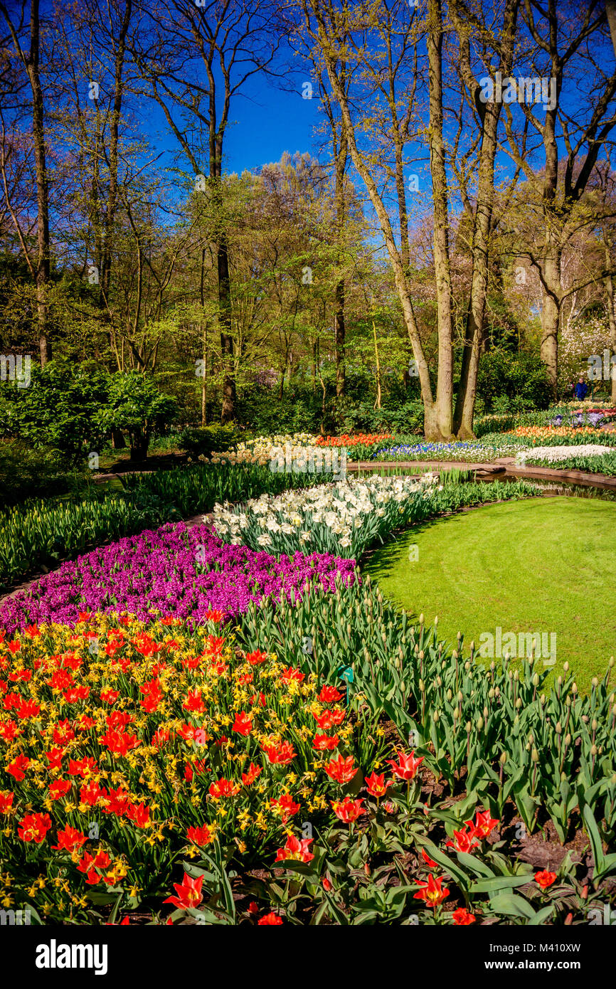 Beautiful garden. Park in The Spring. Spring landscape Stock Photo - Alamy