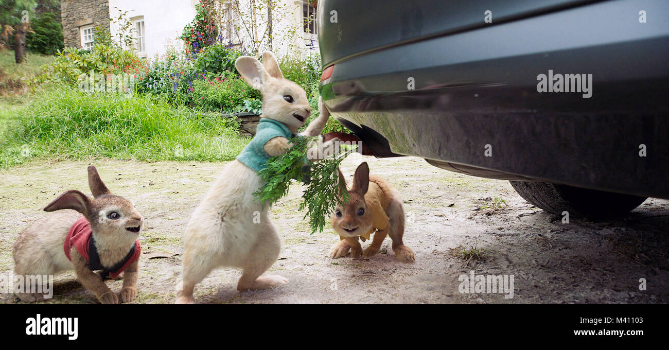 PETER RABBIT, from left: Flopsy (voice: Margot Robbie), Cottontail ...