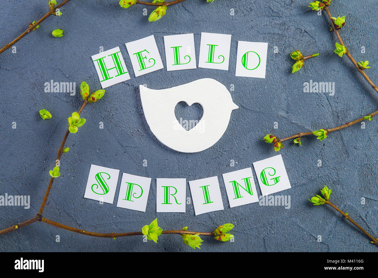 Top view composition of Hello spring lettering, branches with young ...