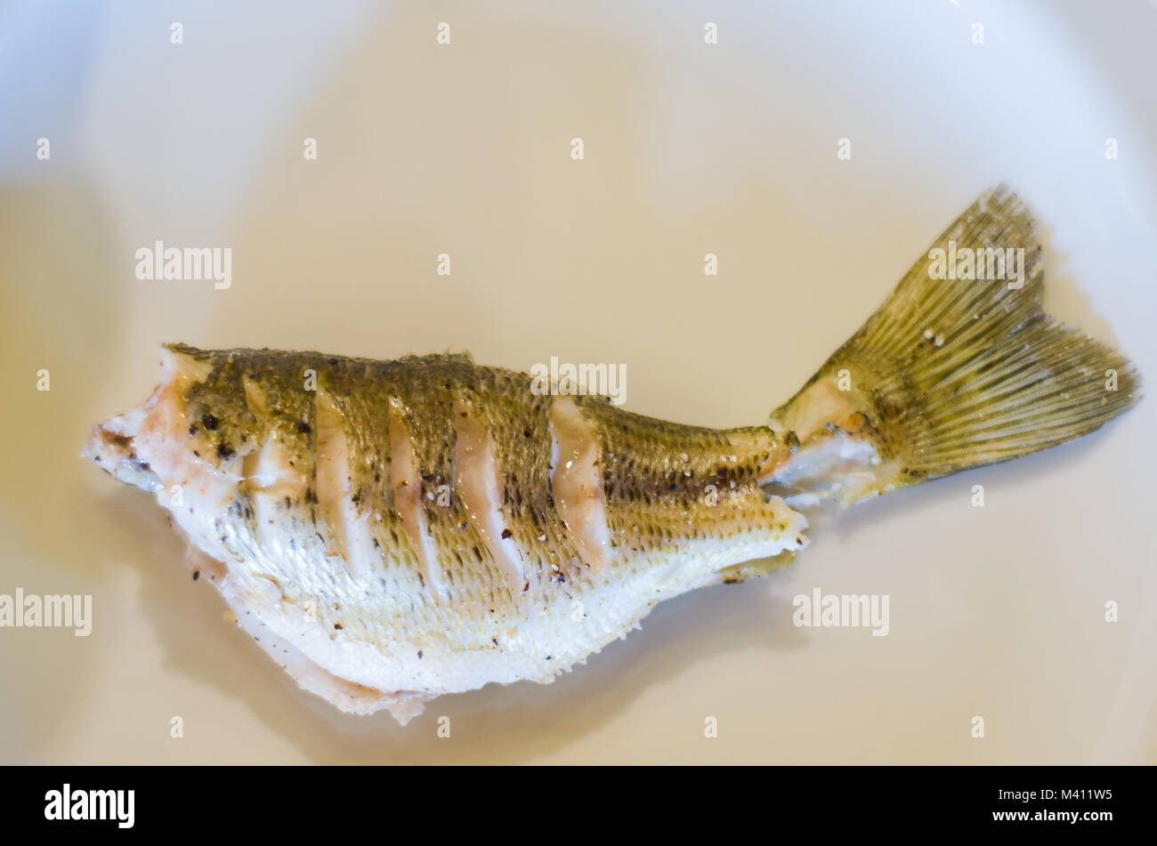 Black Bass Fish roasted on the plate, healthy eating Stock Photo - Alamy