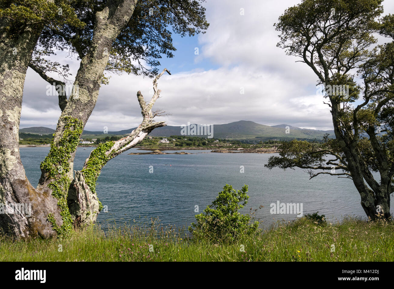 Berehaven harbour hi-res stock photography and images - Alamy