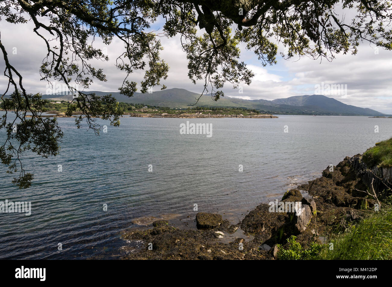 View of Berehaven Harbour from the ruins of Dunboy Castle near ...