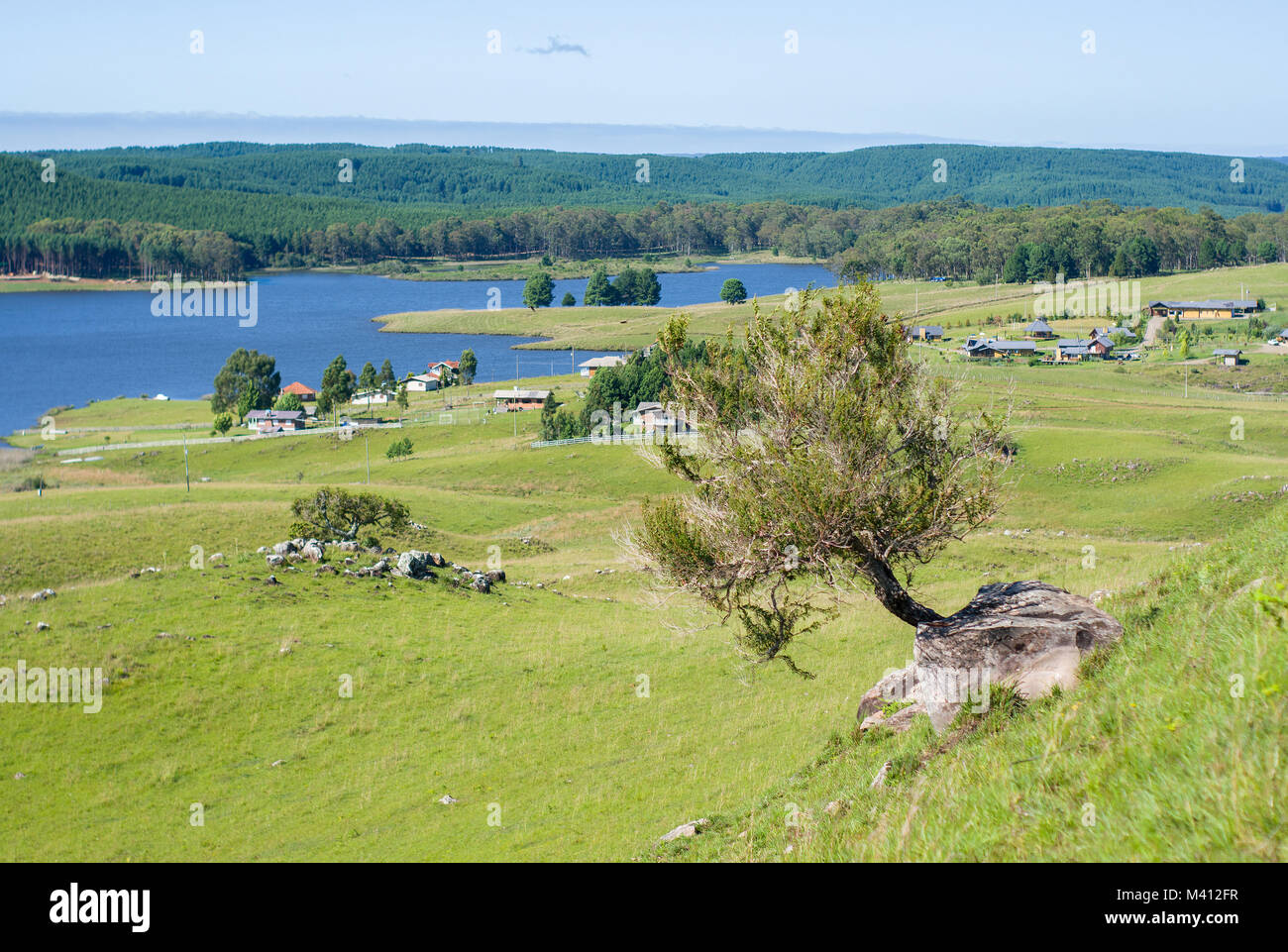 Beautiful tree in mountain overlooking a lake Stock Photo - Alamy
