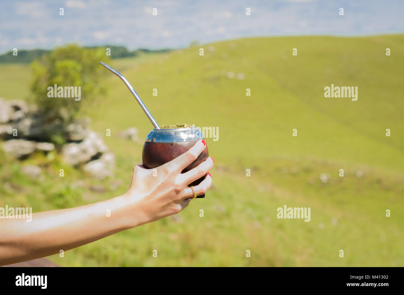 Hand of woman holding traditional mate, mate, with green field view ...
