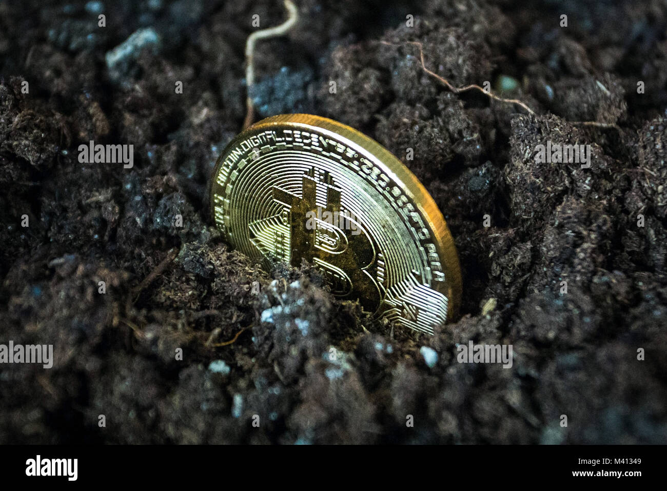 Symbolic golden coin of bitcoin crypto currency growing in soil Stock ...