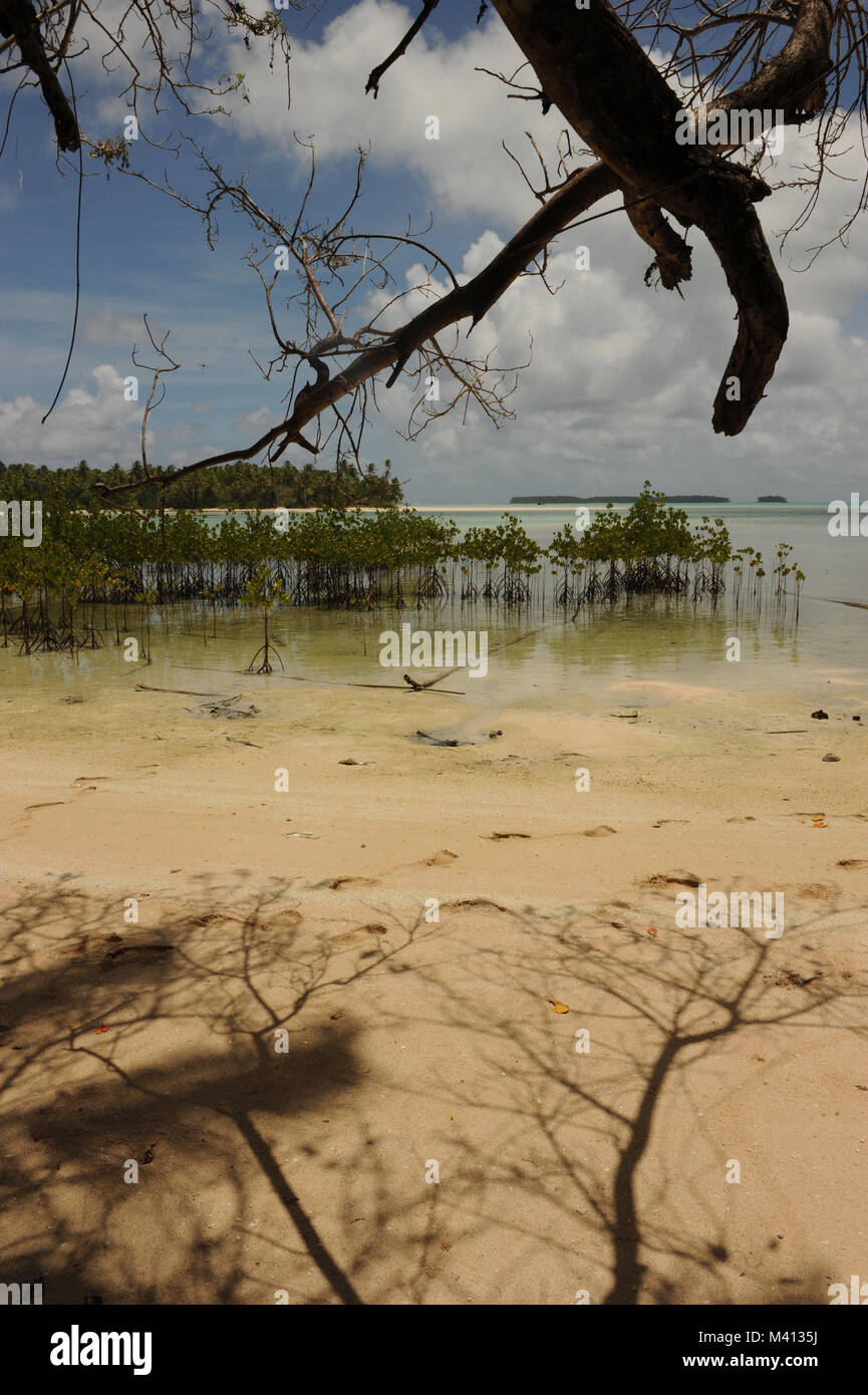 Funafuti atol hi-res stock photography and images - Alamy