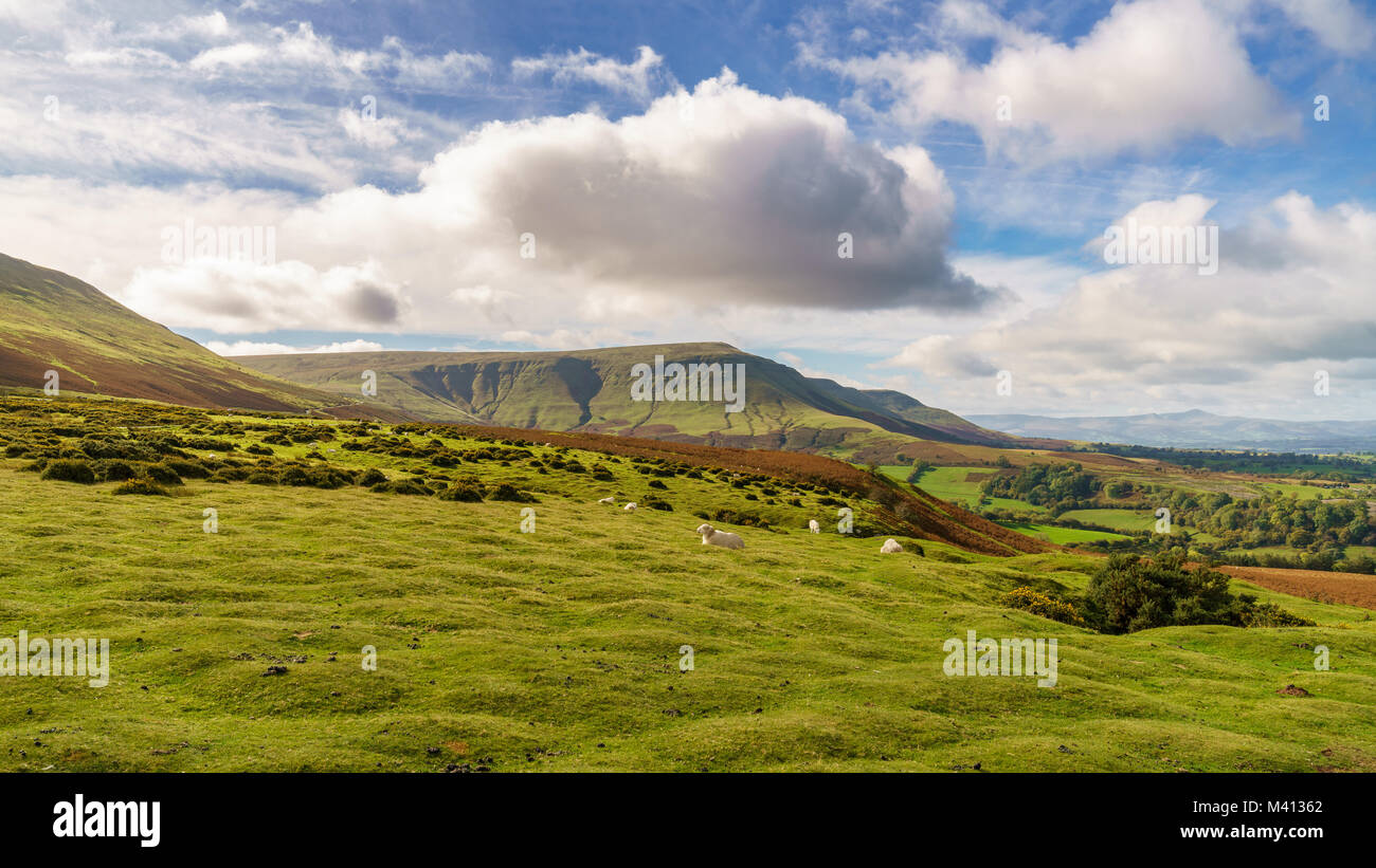 View over the landscape of the Brecon Beacons National Park with Twmpa ...